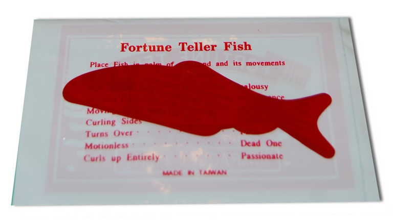Fortune Telling Fish Teaching Kit | Environmental Magic Headquarters